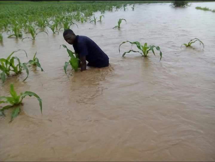 Zimbabwe floods in PICTURES – Nehanda Radio