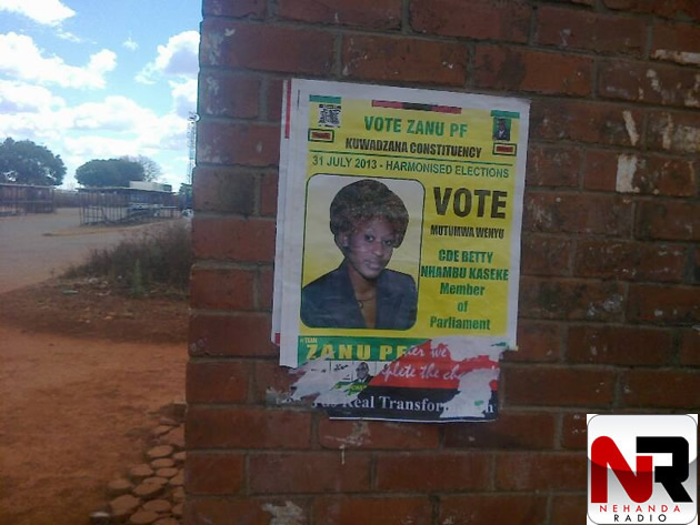 The immaturity of a Zanu PF candidate in pictures – Nehanda Radio