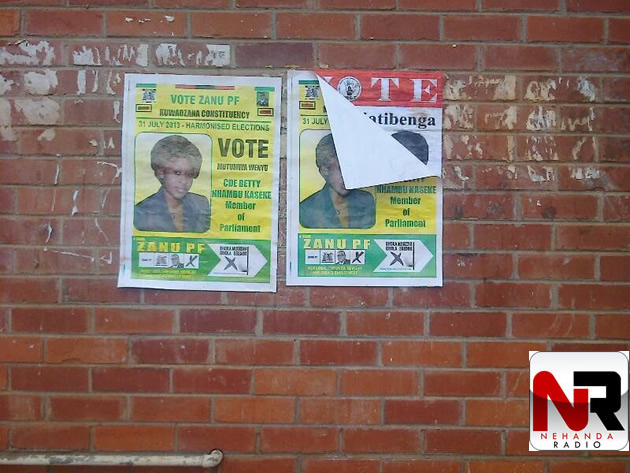 The immaturity of a Zanu PF candidate in pictures – Nehanda Radio