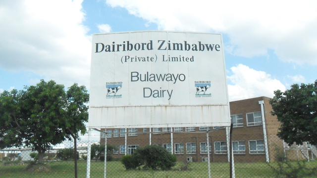 Dairibord cuts losses, strives to remain afloat – Nehanda Radio
