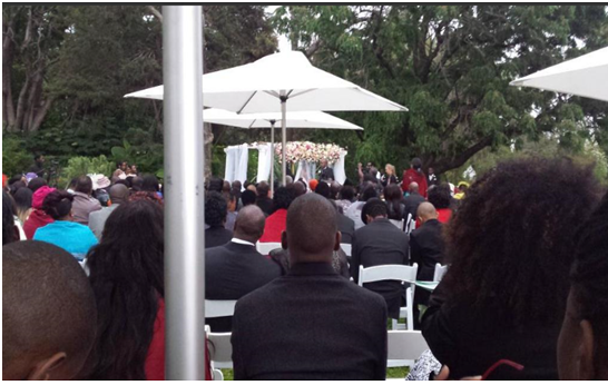 Jonathan Moyo wedding song and pictures – Nehanda Radio
