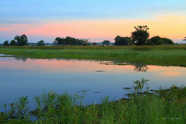 Harare drinking water condemned – Nehanda Radio