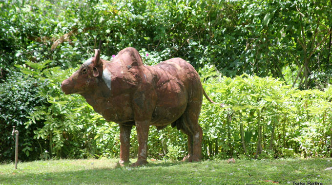 The other side of Dr Guramatunhu – Nehanda Radio