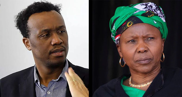 Defence Minister claims Mnangagwa's "enemies" using Covid to kill him ...