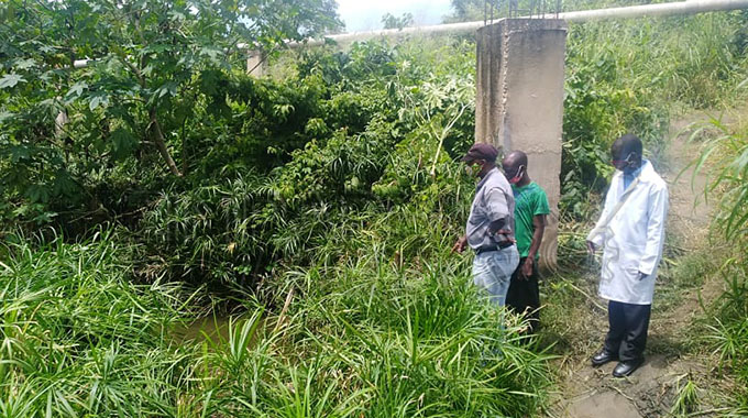 Four-year-old Kariba girl dies in crocodile attack while crossing ...