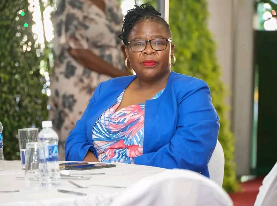 MPs in Zimbabwe make call for touts, hwindis to register and wear ...